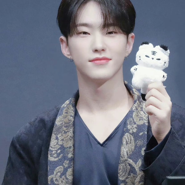 Seventeen Hoshi Tiger Plushie Keychain – idollookbook